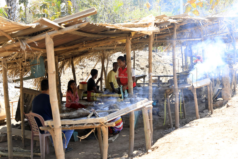 Ikan Saboko Atabae - TATOLI Agência Noticiosa de Timor-Leste