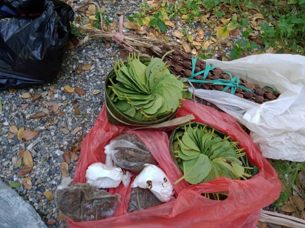 Lori “Malus-Tahan”, Buka “Dolár-Tahan” - TATOLI Agência Noticiosa de ...