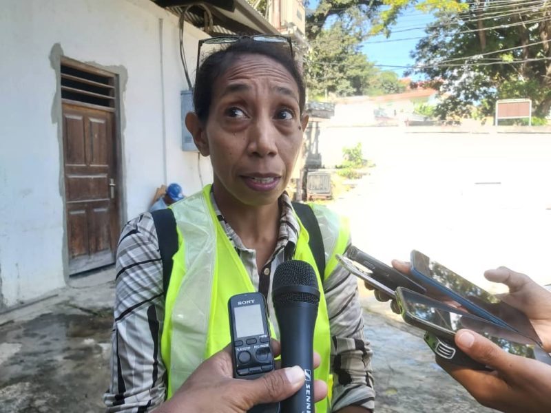 Komunidade-BTL halo melloramentu bee-moos iha Caibada - TATOLI Agência ...