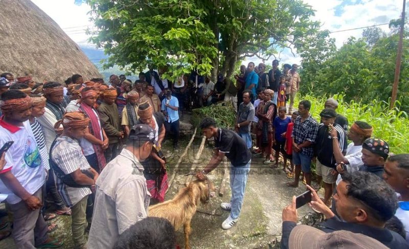 Suku tolu iha Marobo Komplex hamoris hikas tara-bandu - TATOLI Agência ...